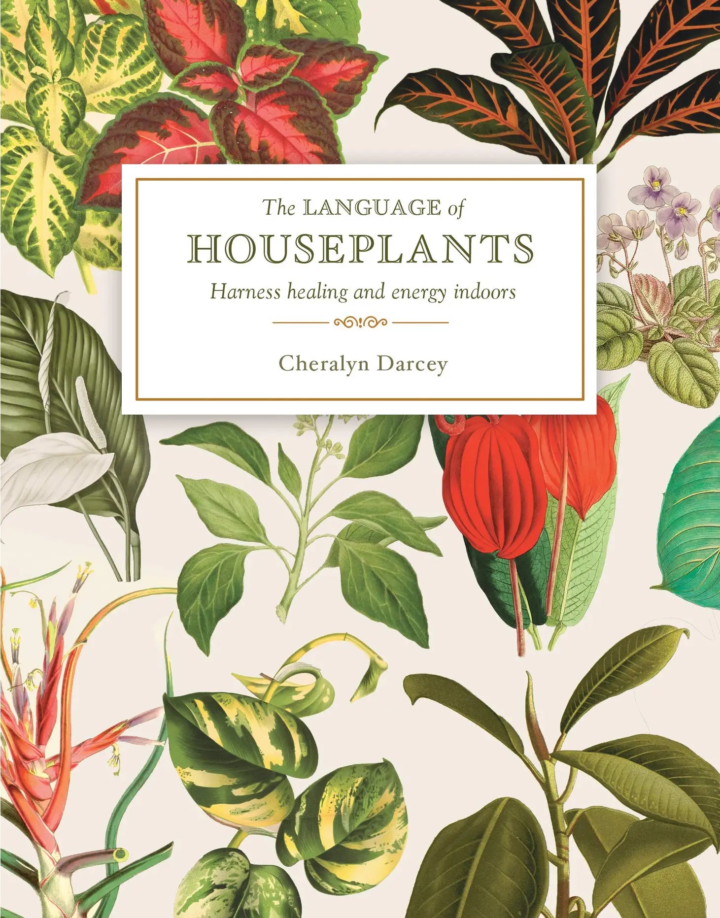 The Language of Houseplants – Topanga Window