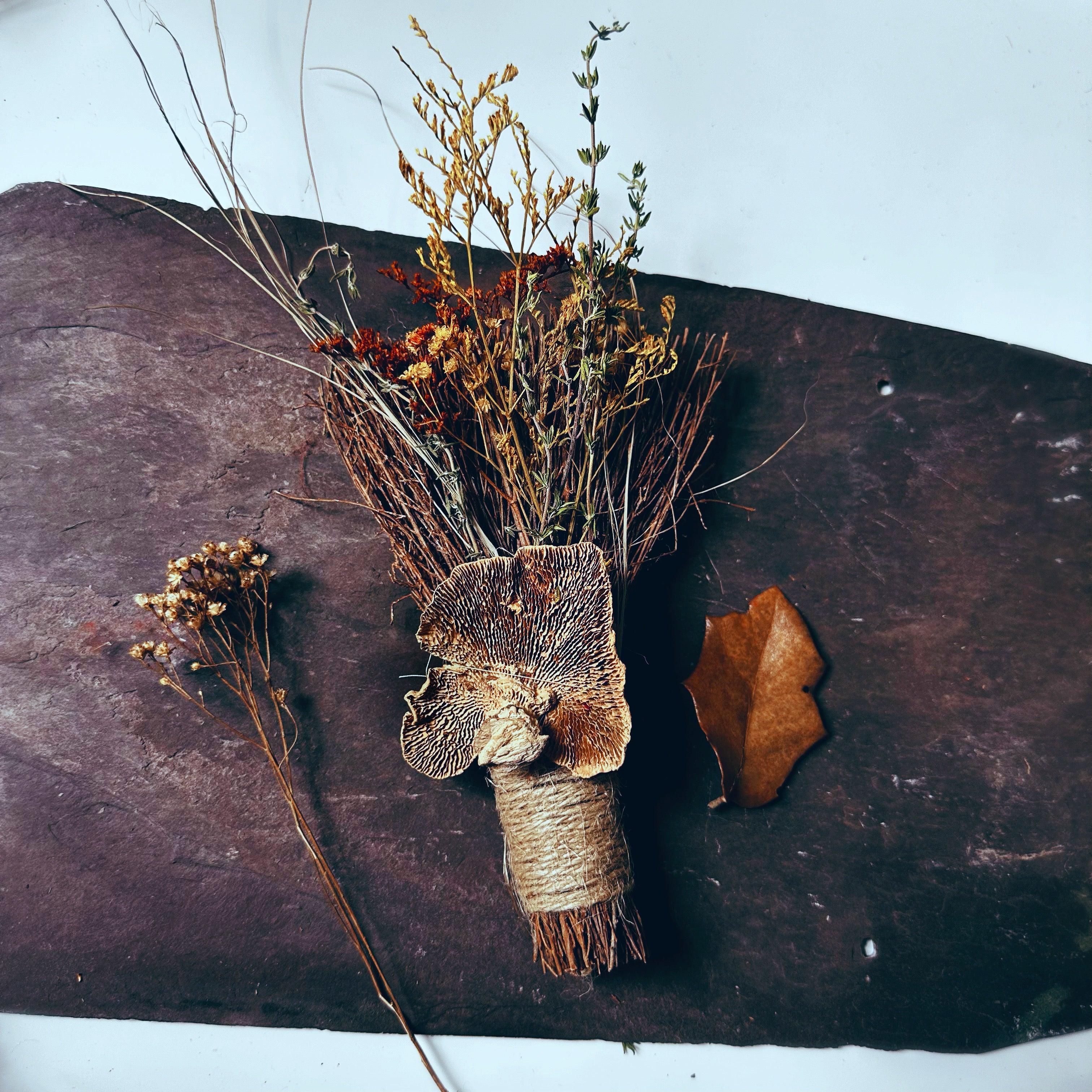 RUSTIC CINNAMON BROOM – Topanga Window